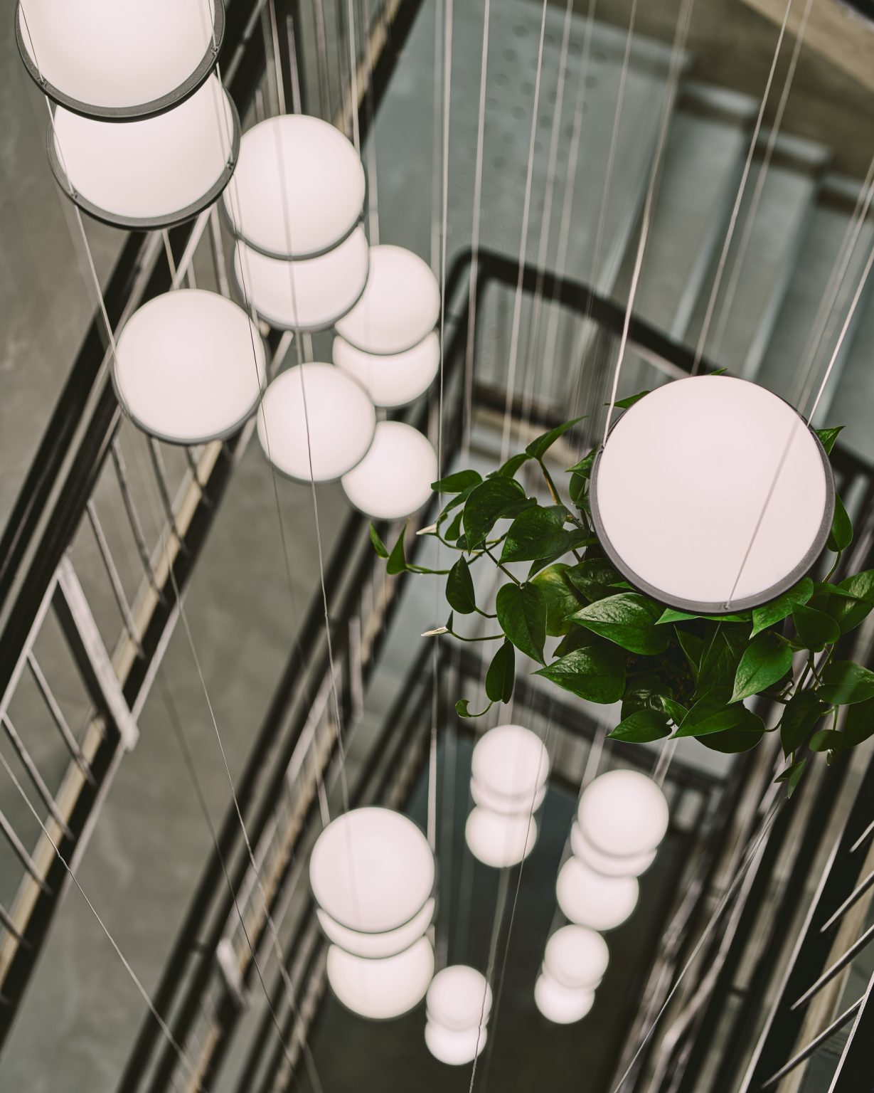 Kinaxis Headquarters - Flux Lighting Flux Lighting